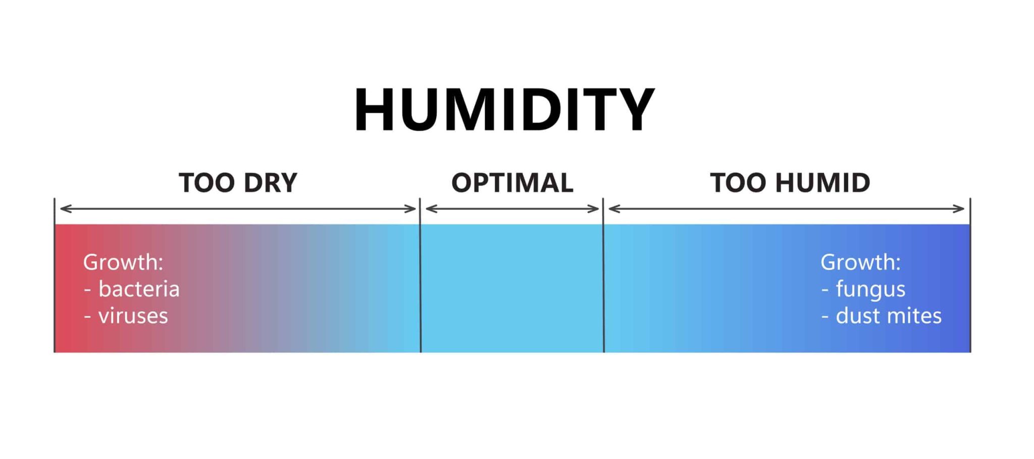 Understand All the Pros and Cons of In-Home Humidity - Jackson & Sons